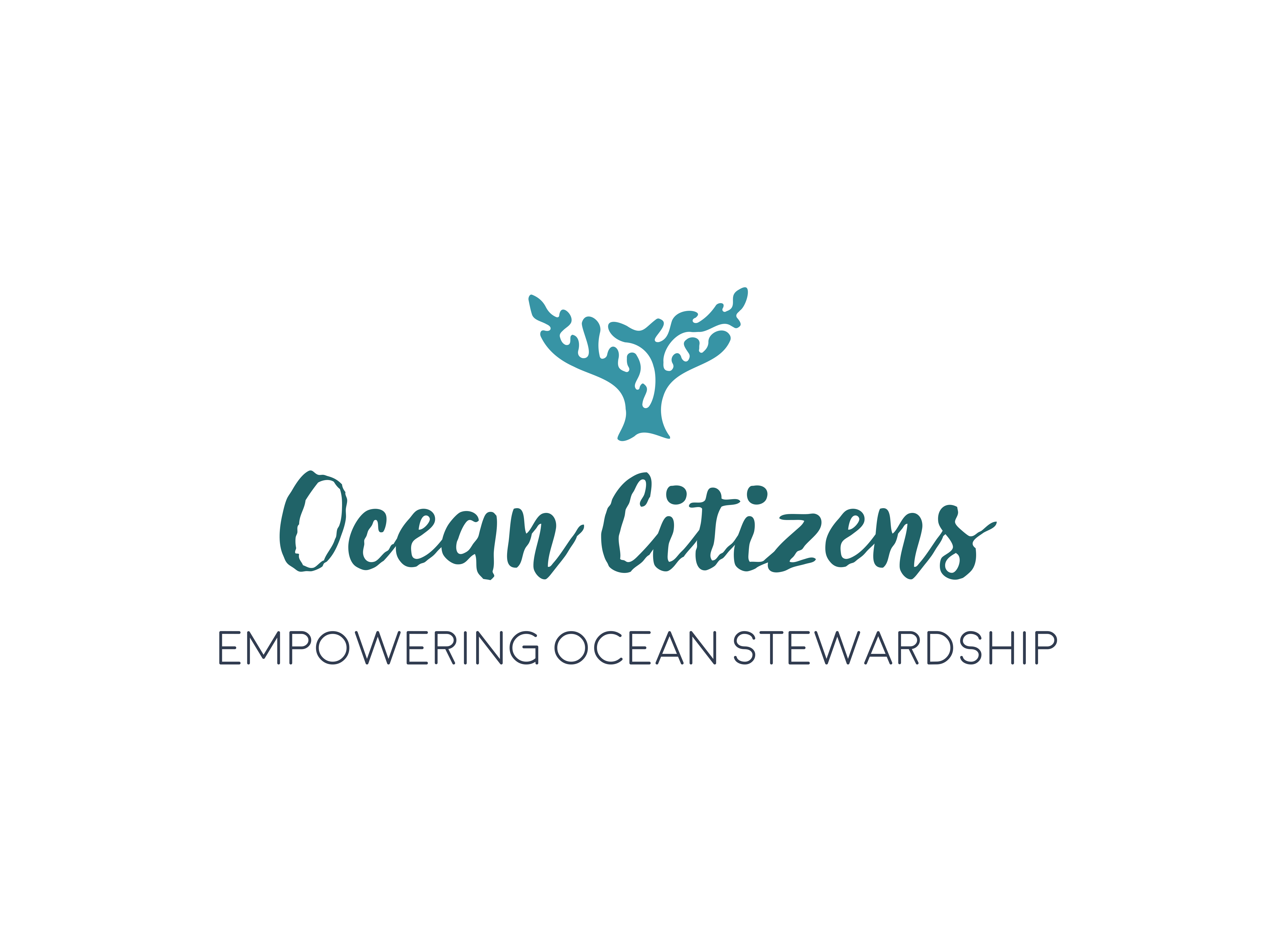 Announcing the Ocean Citizen Award 2025 Recipients - Seaful